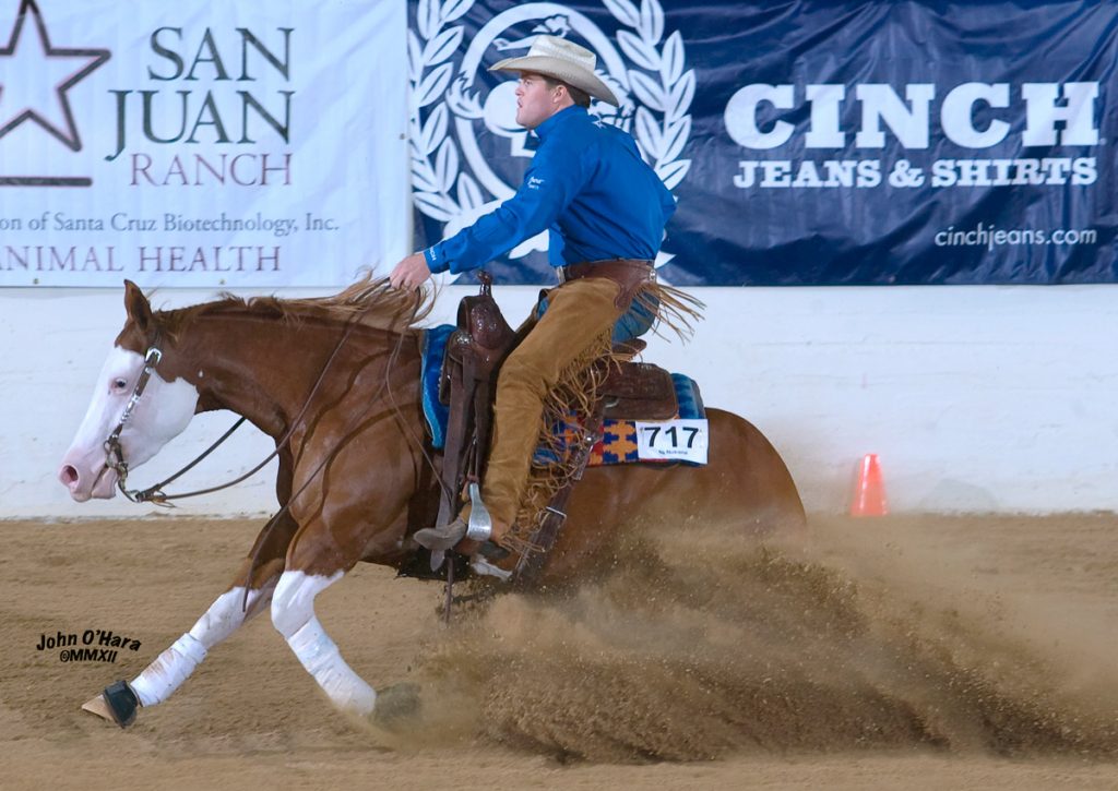 News - Deary Performance Horses