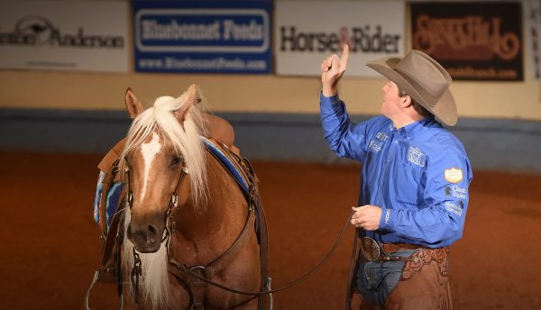 Deary Performance Horses - Deary Performance Horses