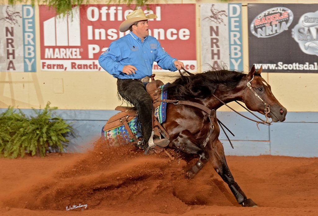 Top Horses - Deary Performance Horses