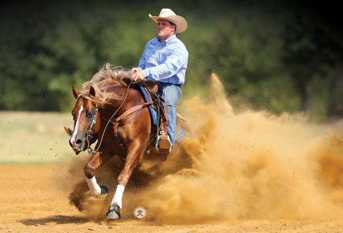 Top Horses - Deary Performance Horses