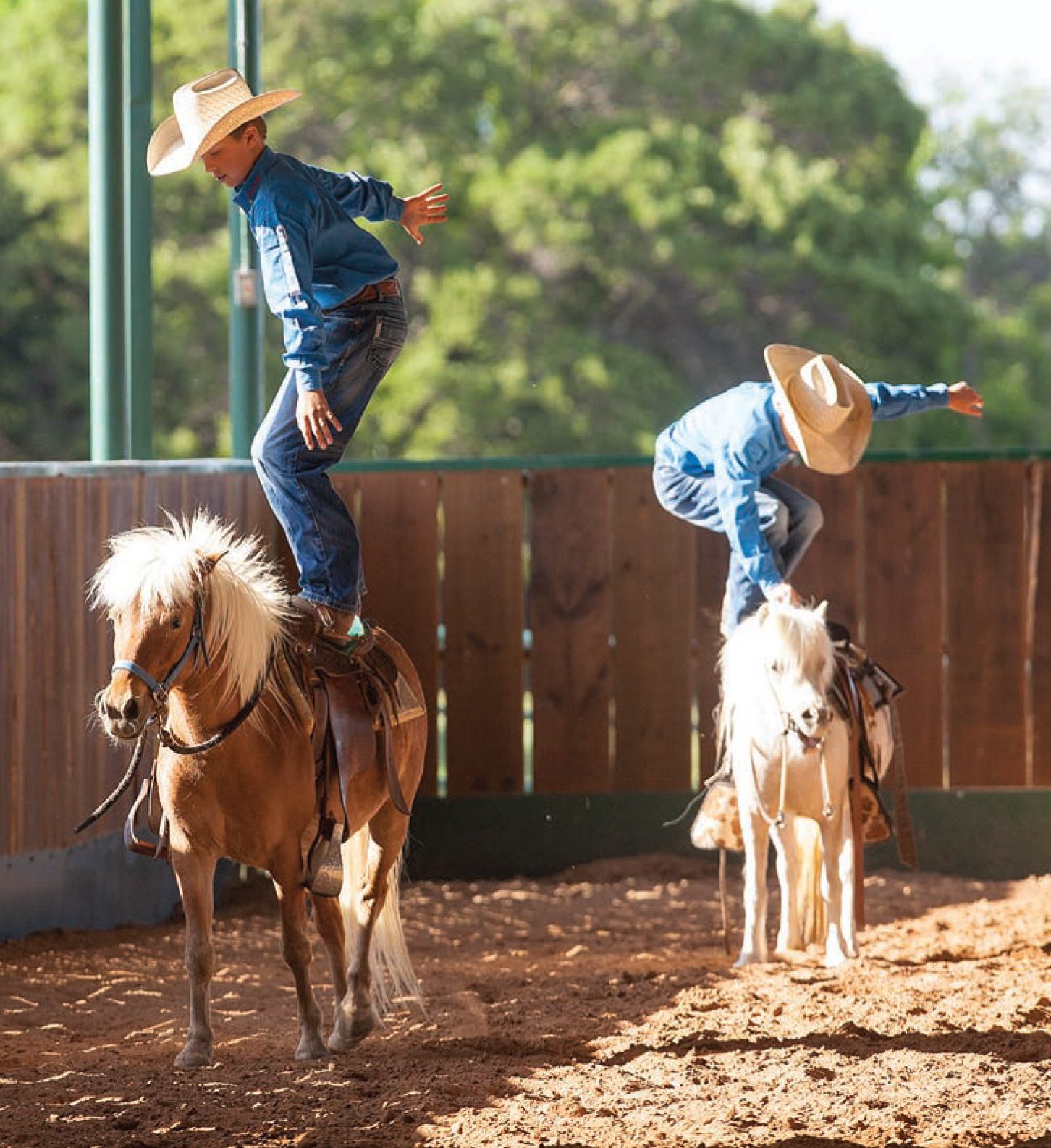 Ponies - Deary Performance Horses