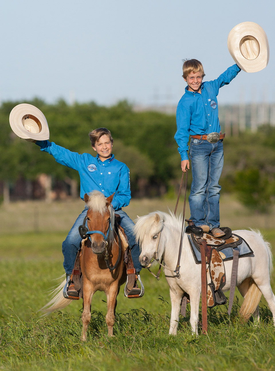 Ponies – Deary Performance Horses