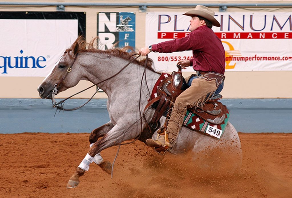 Top Horses - Deary Performance Horses