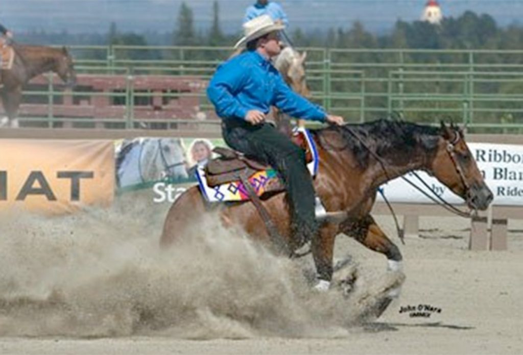 Top Horses - Deary Performance Horses