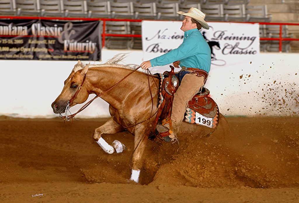 Top Horses - Deary Performance Horses