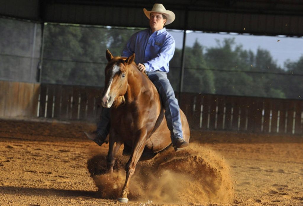 Top Horses - Deary Performance Horses