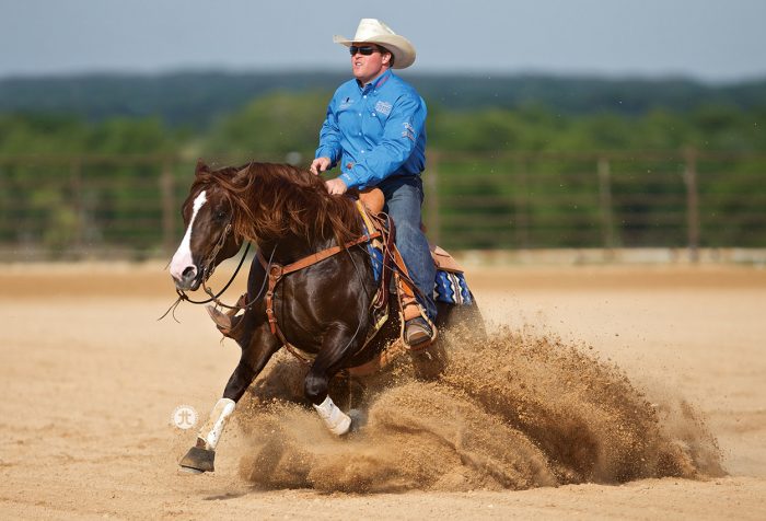 Top Horses - Deary Performance Horses