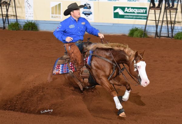 Deary Performance Horses - Deary Performance Horses