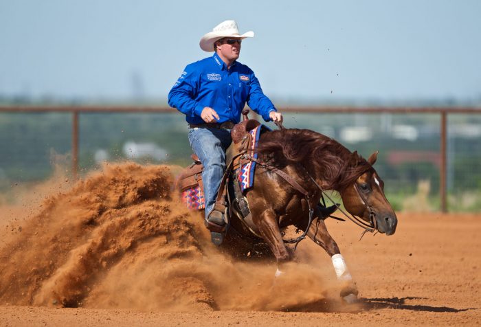 Top Horses - Deary Performance Horses