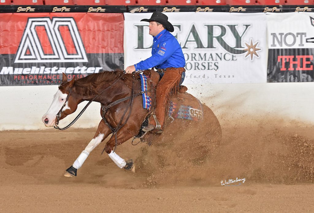 News – Deary Performance Horses