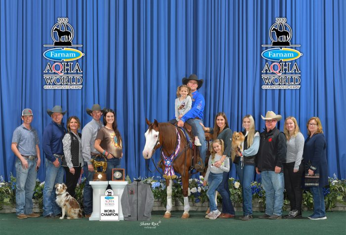 Deary Performance Horses – Team Deary