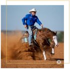 Deary Performance Horses - Deary Performance Horses