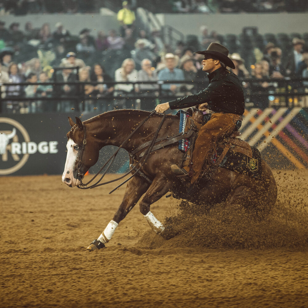 2024 - Deary Performance Horses