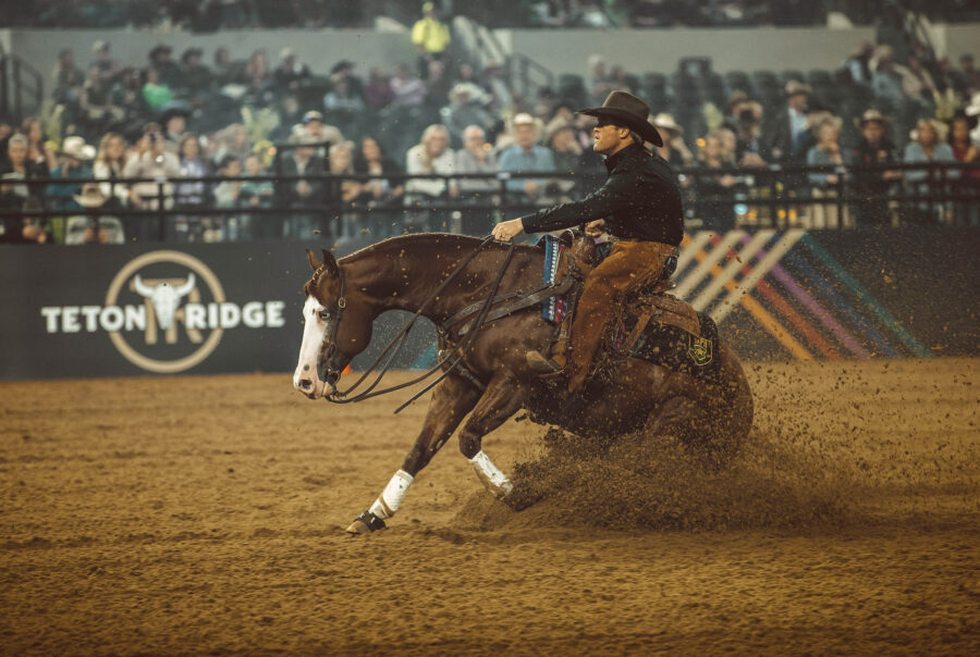 Deary Performance Horses - Deary Performance Horses