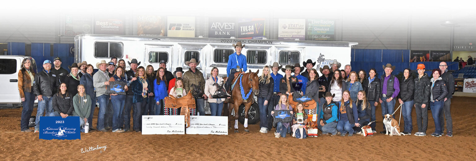 Deary Performance Horses - Deary Performance Horses