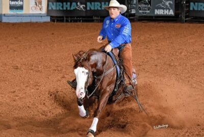 Deary Performance Horses - Deary Performance Horses