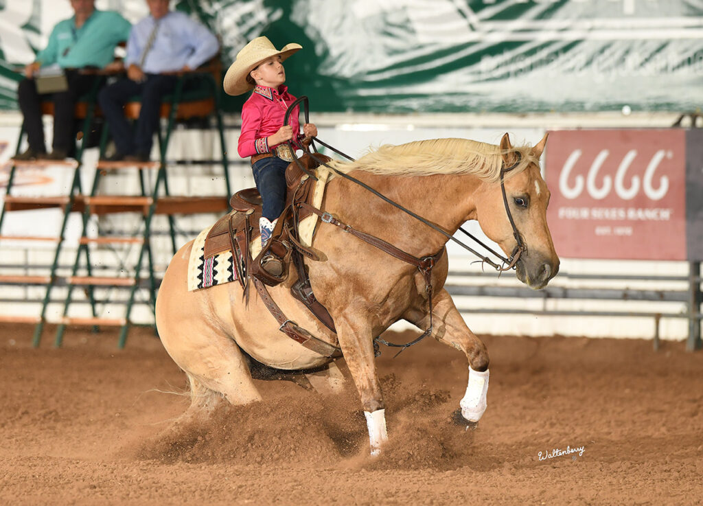Down Right Amazing and Casey Deary Continue Win Streak at the NRHA ...
