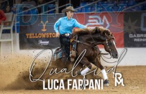 Deary Performance Horses - Deary Performance Horses