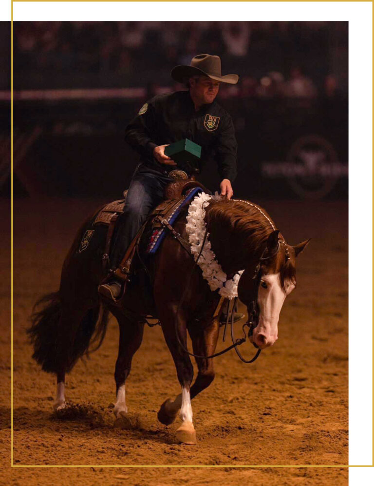 Deary Performance Horses - Deary Performance Horses