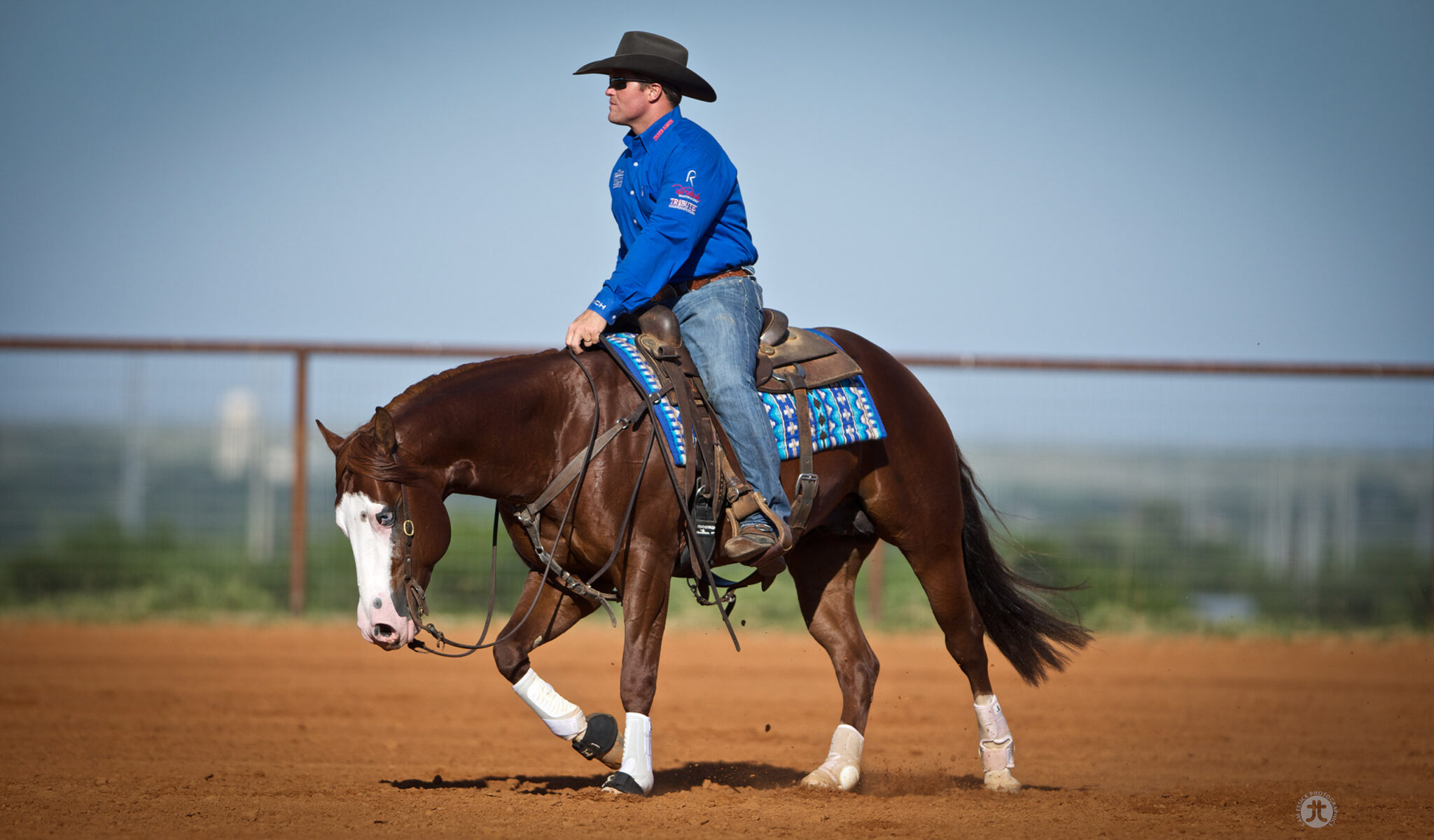 Video Subscription - Deary Performance Horses